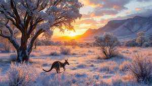 When Is Winter in Australia? Exploring the Southern Hemisphere’s Cold ...
